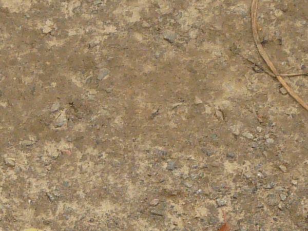 dirt road with stones 0031 - Texturelib